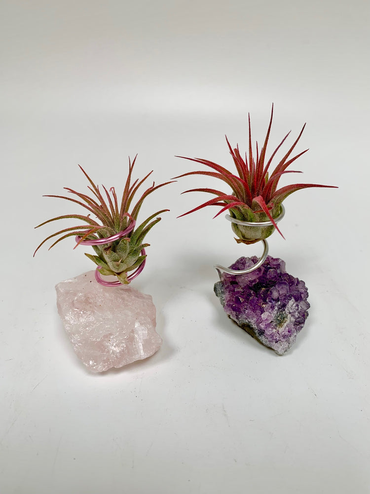 Saskatoon's Best Florist | Flower Delivery by Bill's House of Flowers ...