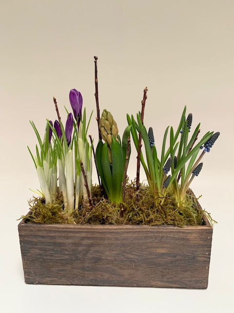 Blossom Box | Plants | Bill's House of Flowers Saskatoon – Bills House ...